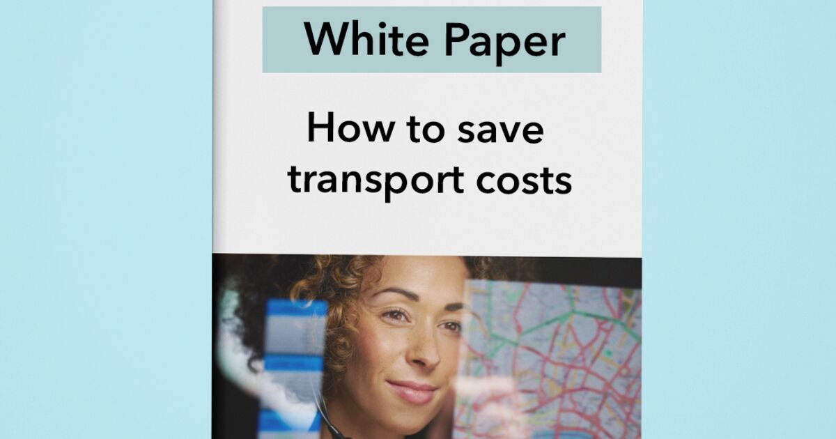 White Paper: How to save transport costs (EN) | PTV Logistics
