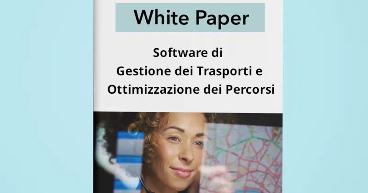 White Paper Software Ottimizzazione Trasporti | PTV Logistics